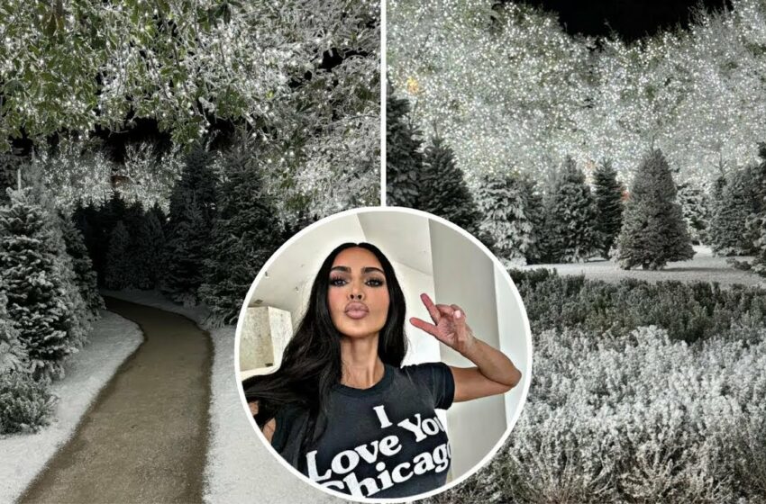 Video : Kim Kardashian Hosts Holiday Party with Snow