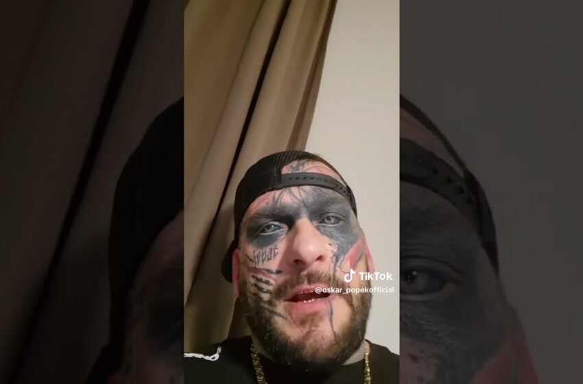 popek owczarek niemiecki video