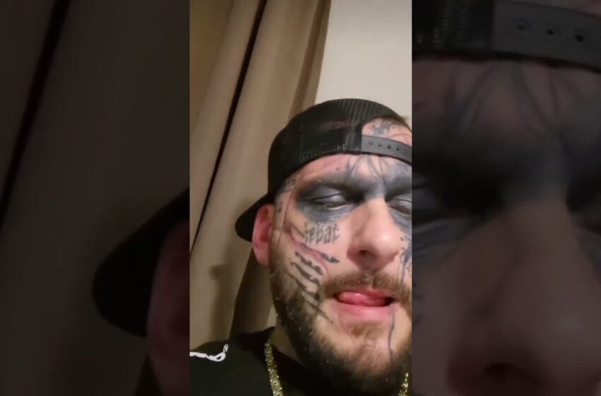 Watch popek pies full video