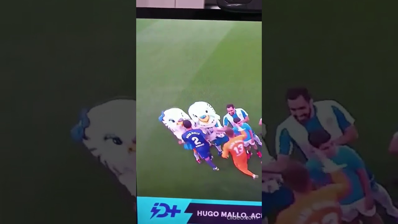 hugo mallo mascota video