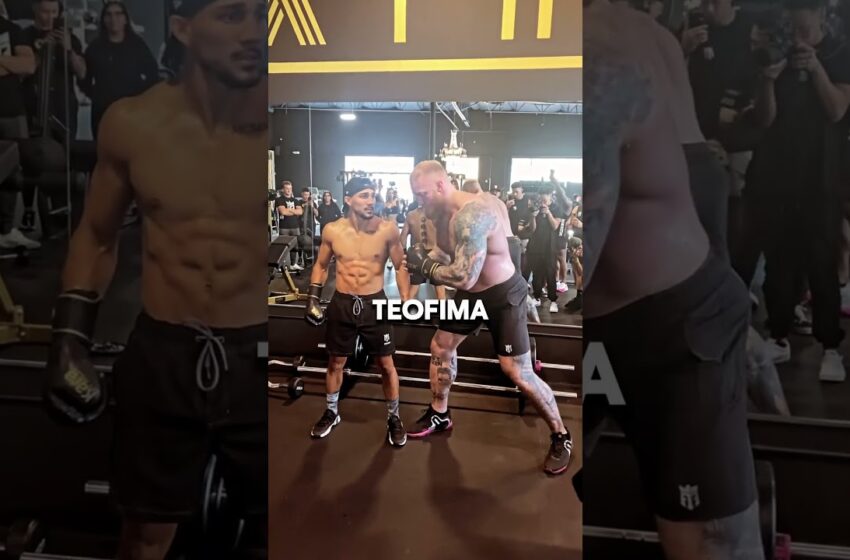 bodybuilder vs boxer in the gym video