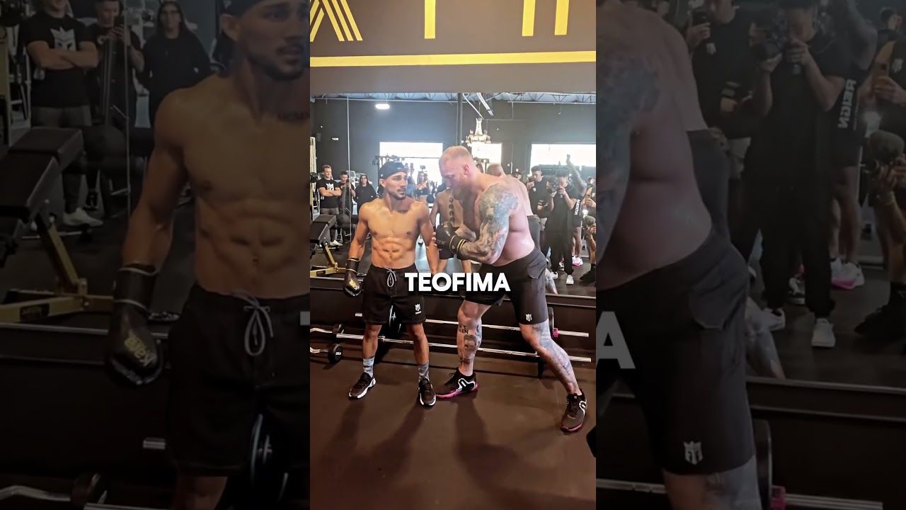 bodybuilder vs boxer in the gym video